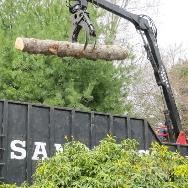 Tree Removal, Pruning & Cutting Services In New Haven County ...